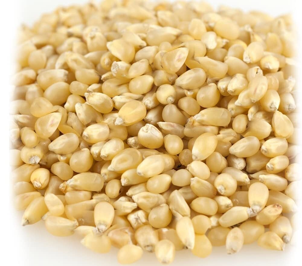 Exclusive Offer for our Premium White Less-Hulls Popping Seeds ...