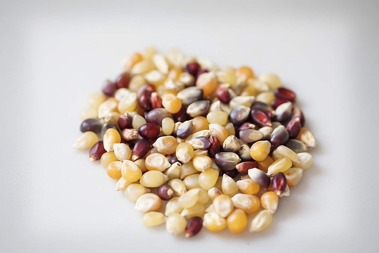 Heirloom Popcorn Kernels (Rainbow Mix* pops white/yellow mix ...