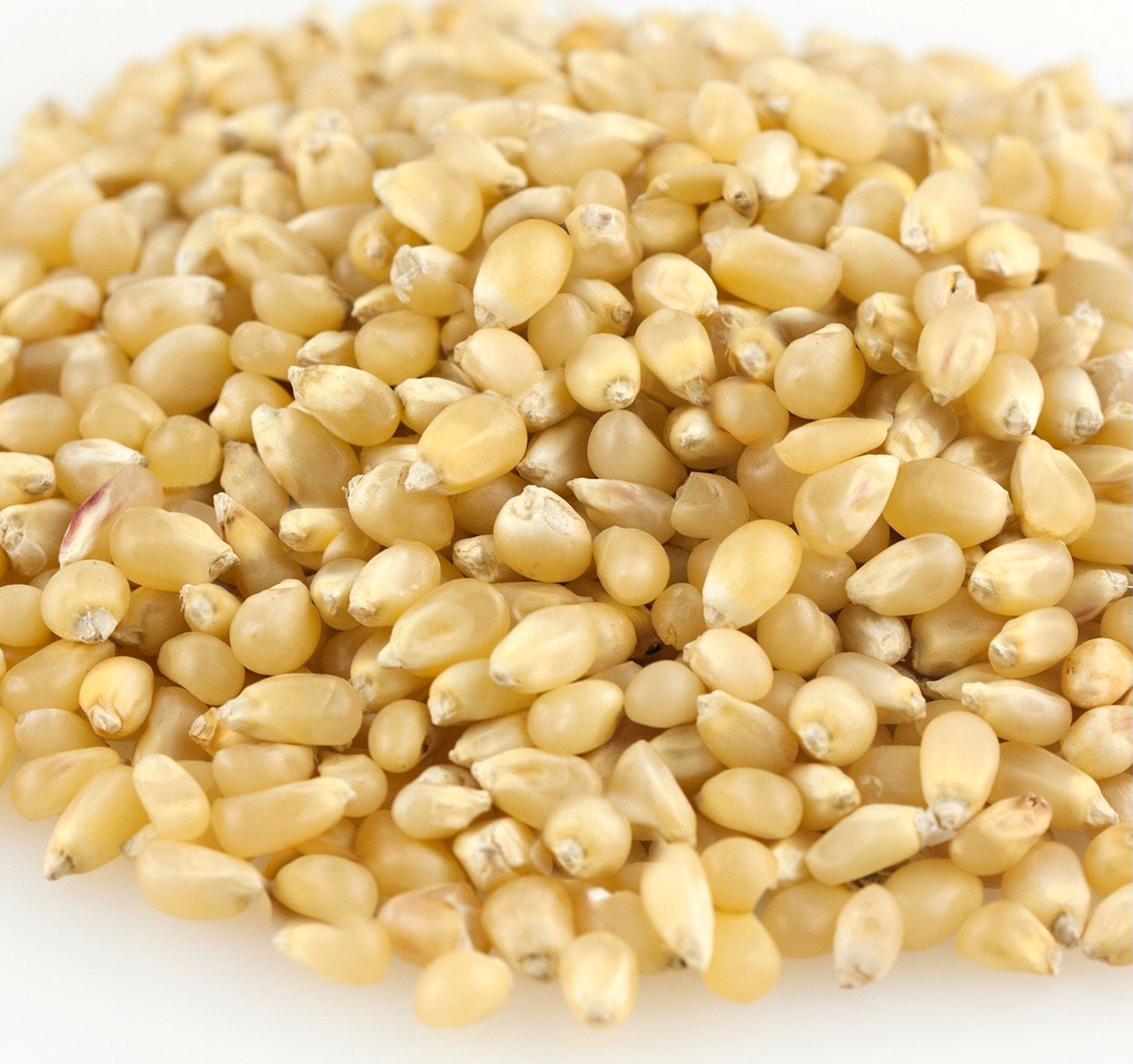 White Virtually LESS HULLS Popcorn Kernels (NON-GMO, KOSHER SOURCED ...